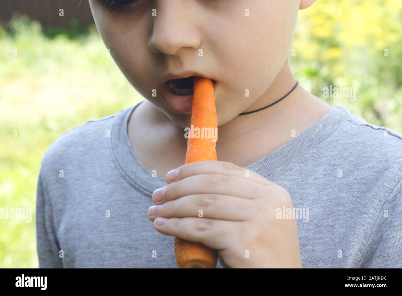 Child Carrot High Resolution Stock Photography and Images - Alamy