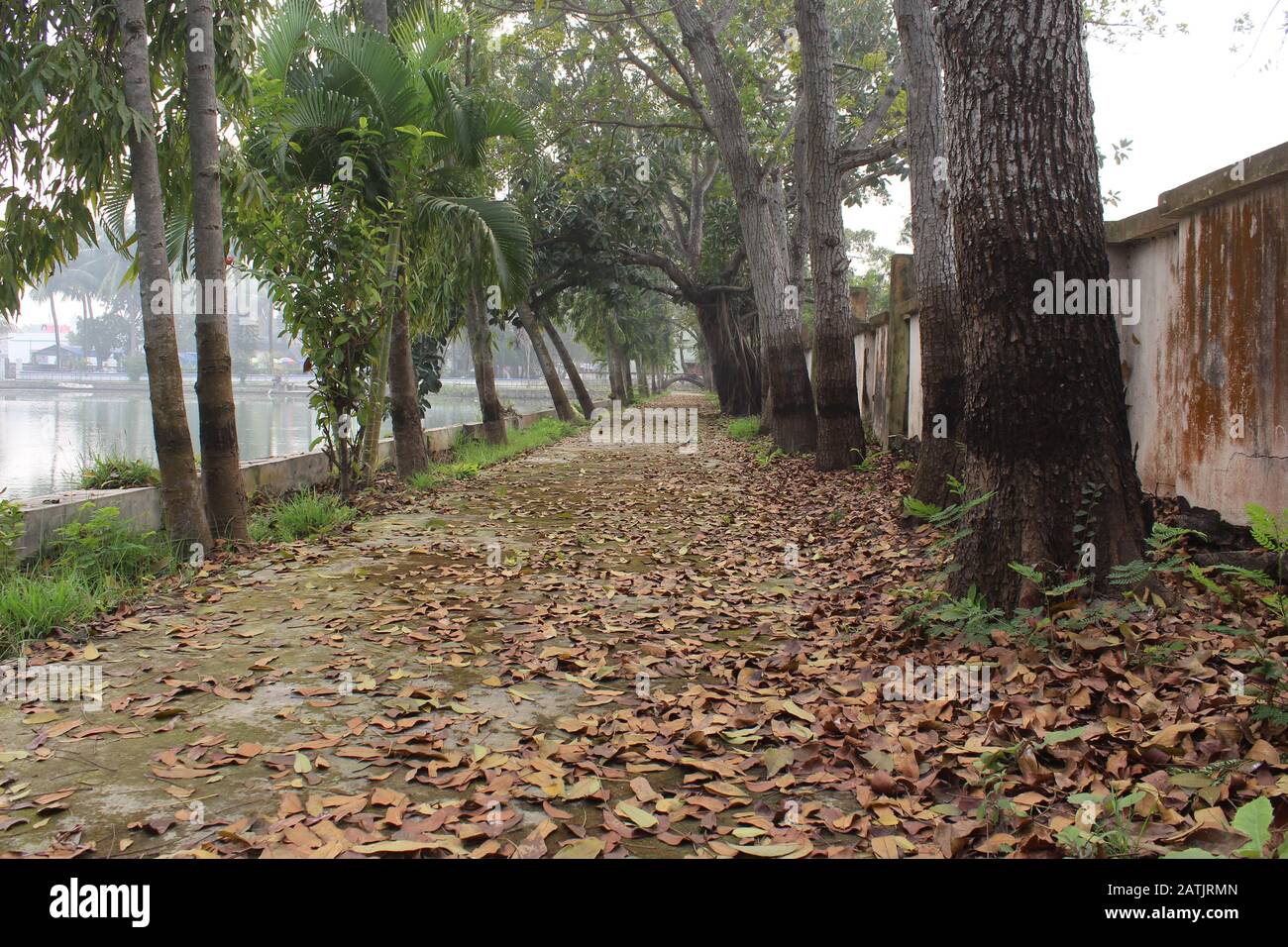 Landscape of rural bengal, India Stock Photo - Alamy
