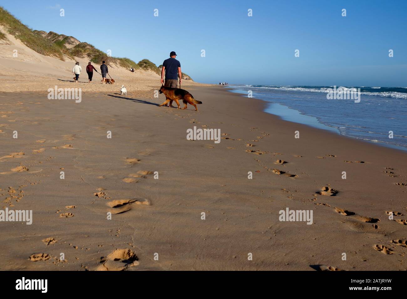 Protected dog hi-res stock photography and images - Alamy