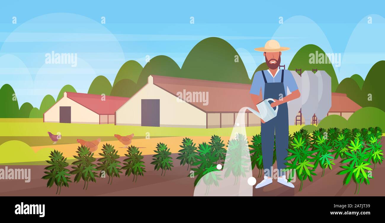 Weed plant field farmland Stock Vector Images - Alamy