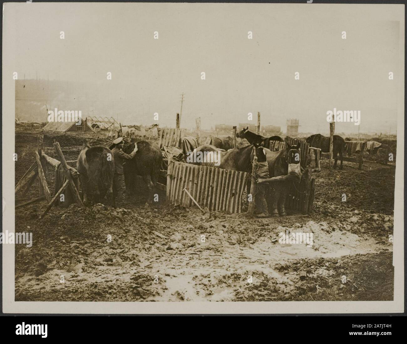 The Western Front Description: An active service stable Annotation: The ...