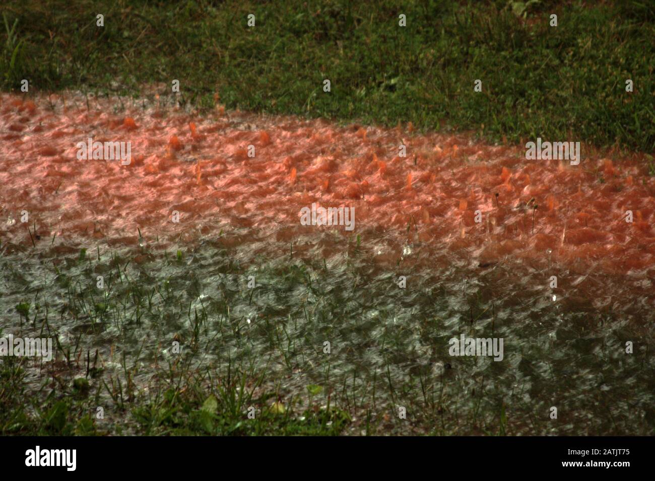 Rain water flowing on the lawn. Heavy rain. Over-saturated soil Stock ...