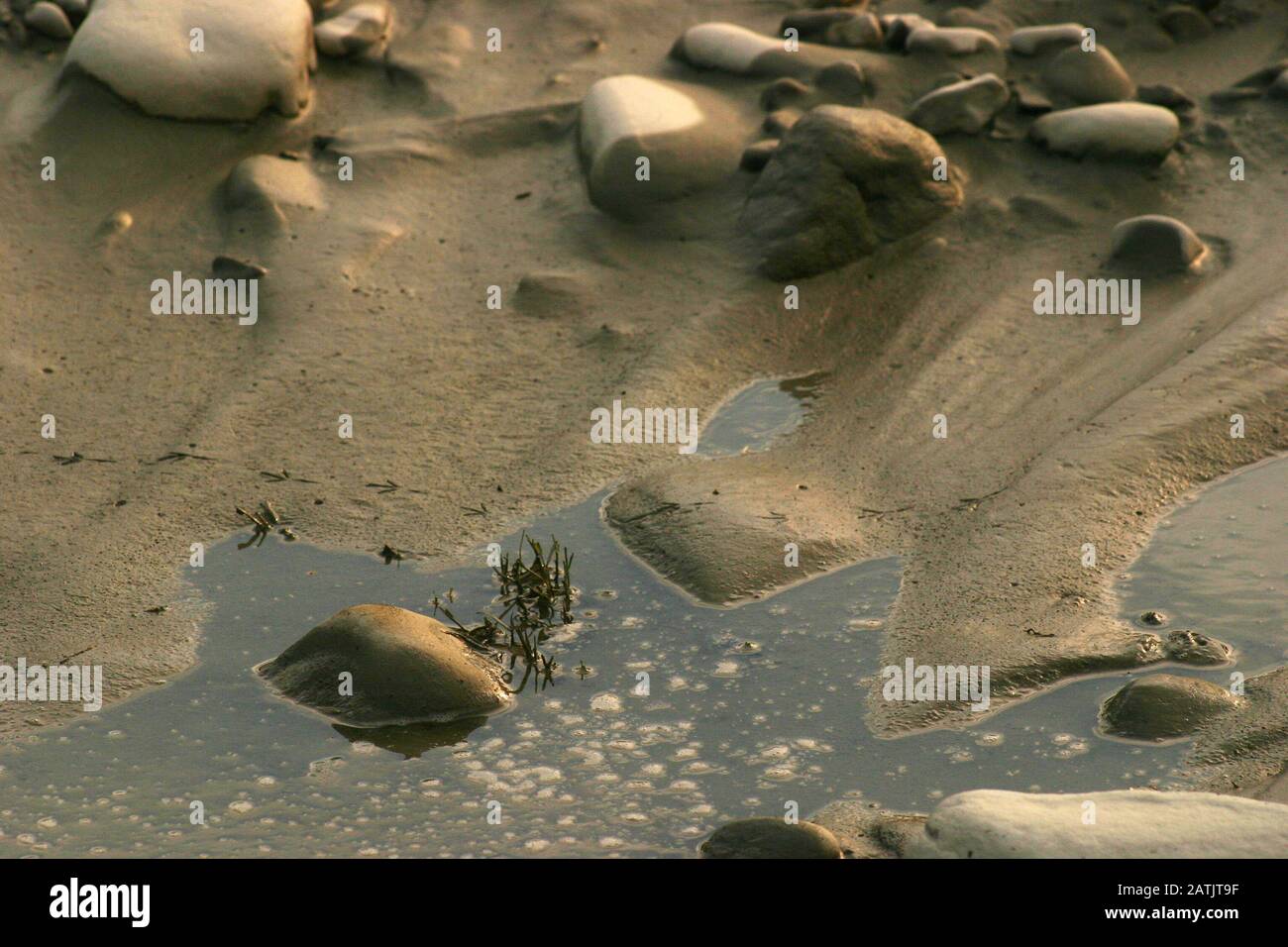 Wet muddy area hi-res stock photography and images - Alamy