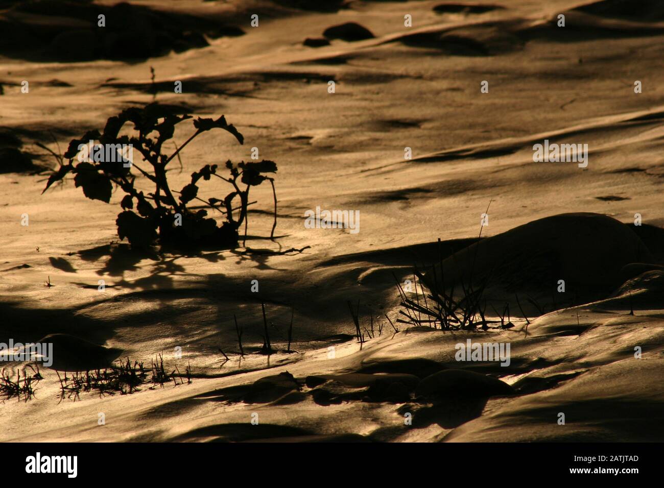 Wet muddy area hi-res stock photography and images - Alamy