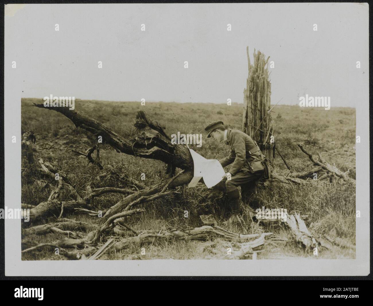 The great battle of Messines Ridge Description: An officer finds a ...