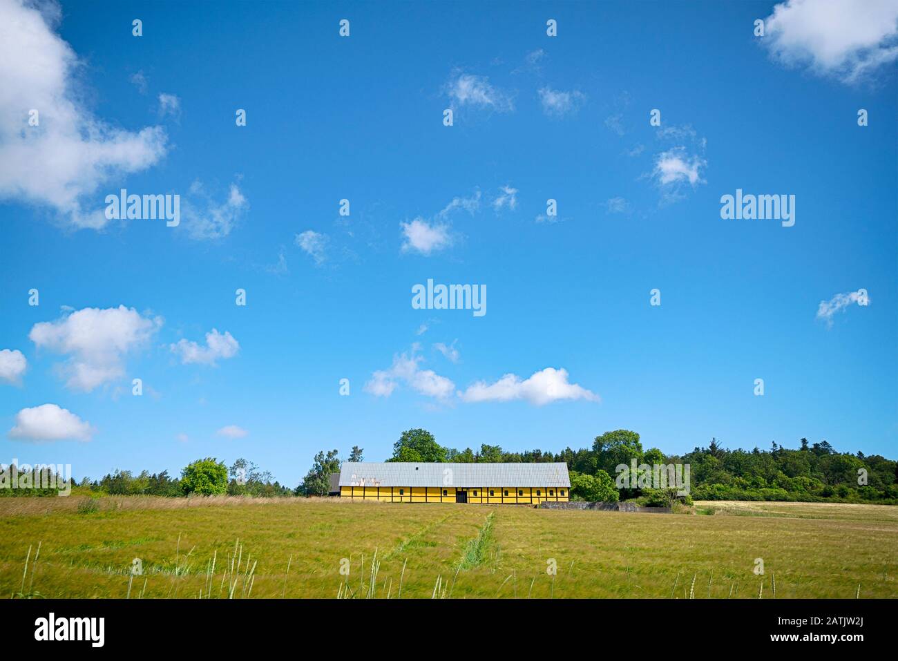 Old yellow crops hi-res stock photography and images - Alamy