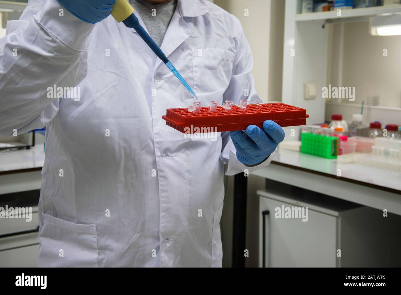 In the chemical-biological laboratory. Researcher in the workplace ...