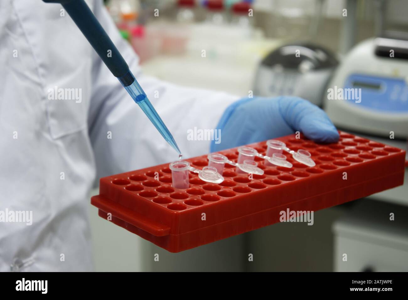 In the chemical-biological laboratory. Researcher in the workplace ...