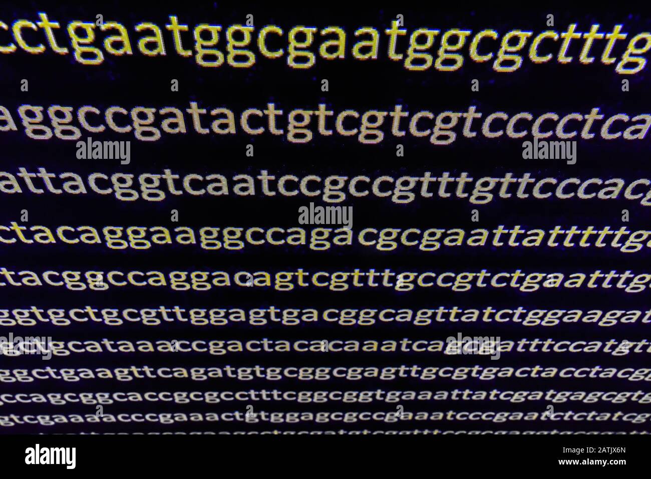 Abstract background, genetic code. Sequence of nucleotide bases in a ...
