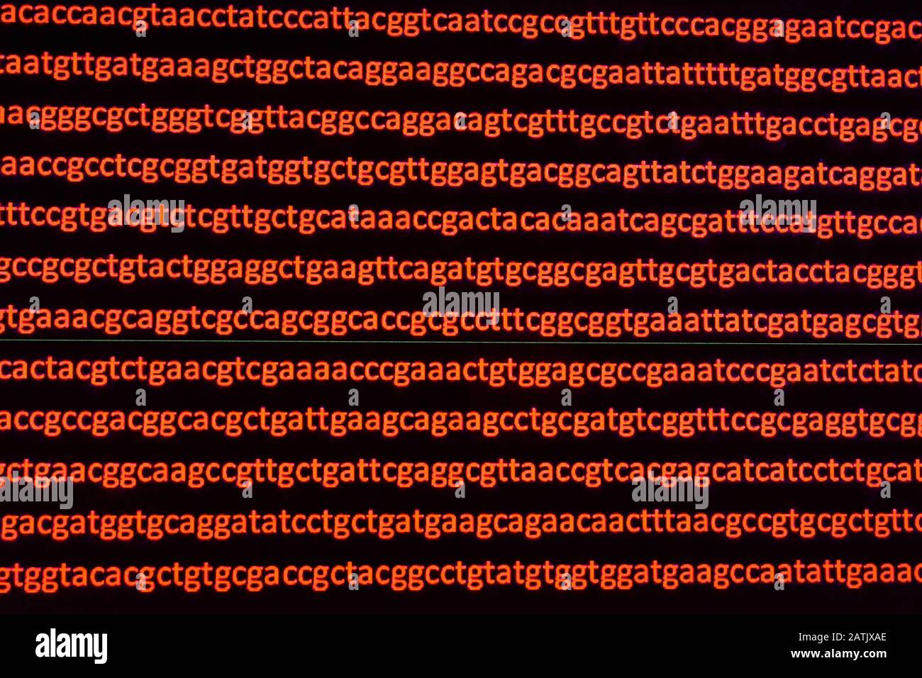 Abstract background, genetic code. Sequence of nucleotide bases in a ...
