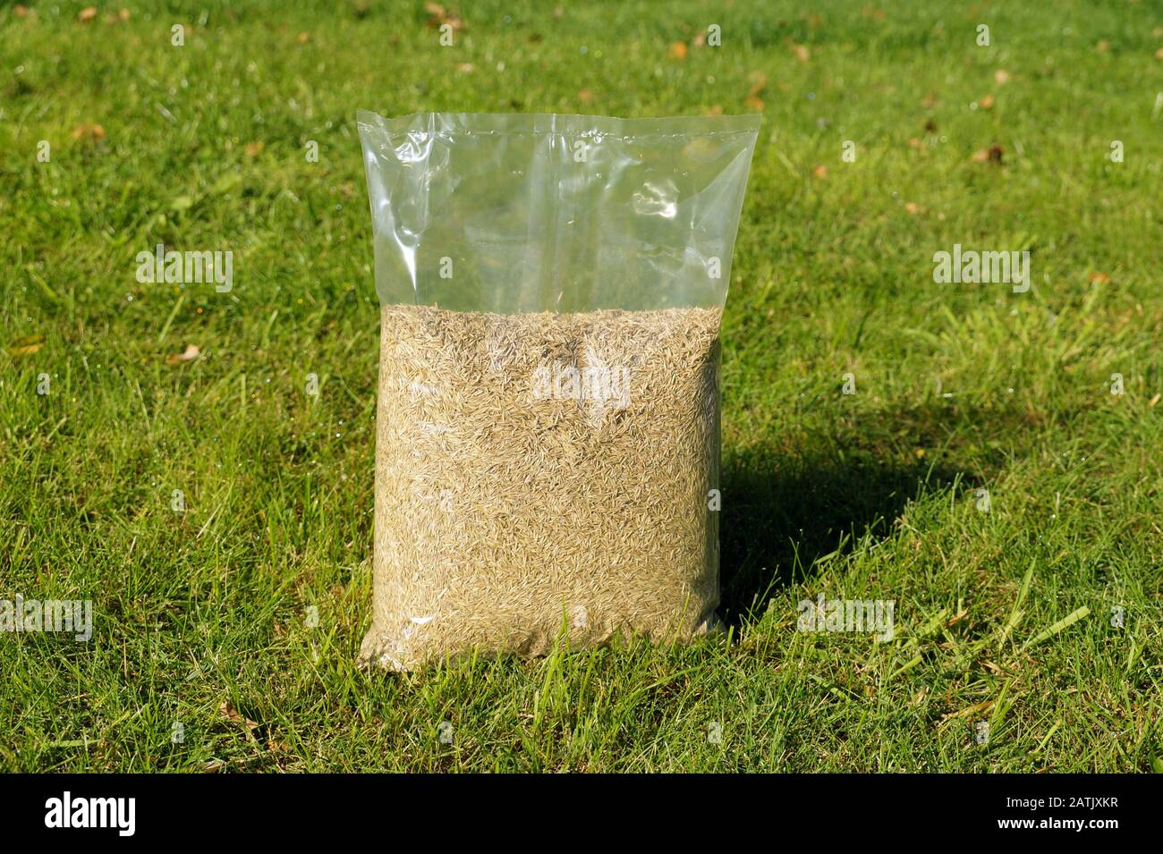 Lawn installation. Foil packaging with grass seeds Stock Photo - Alamy