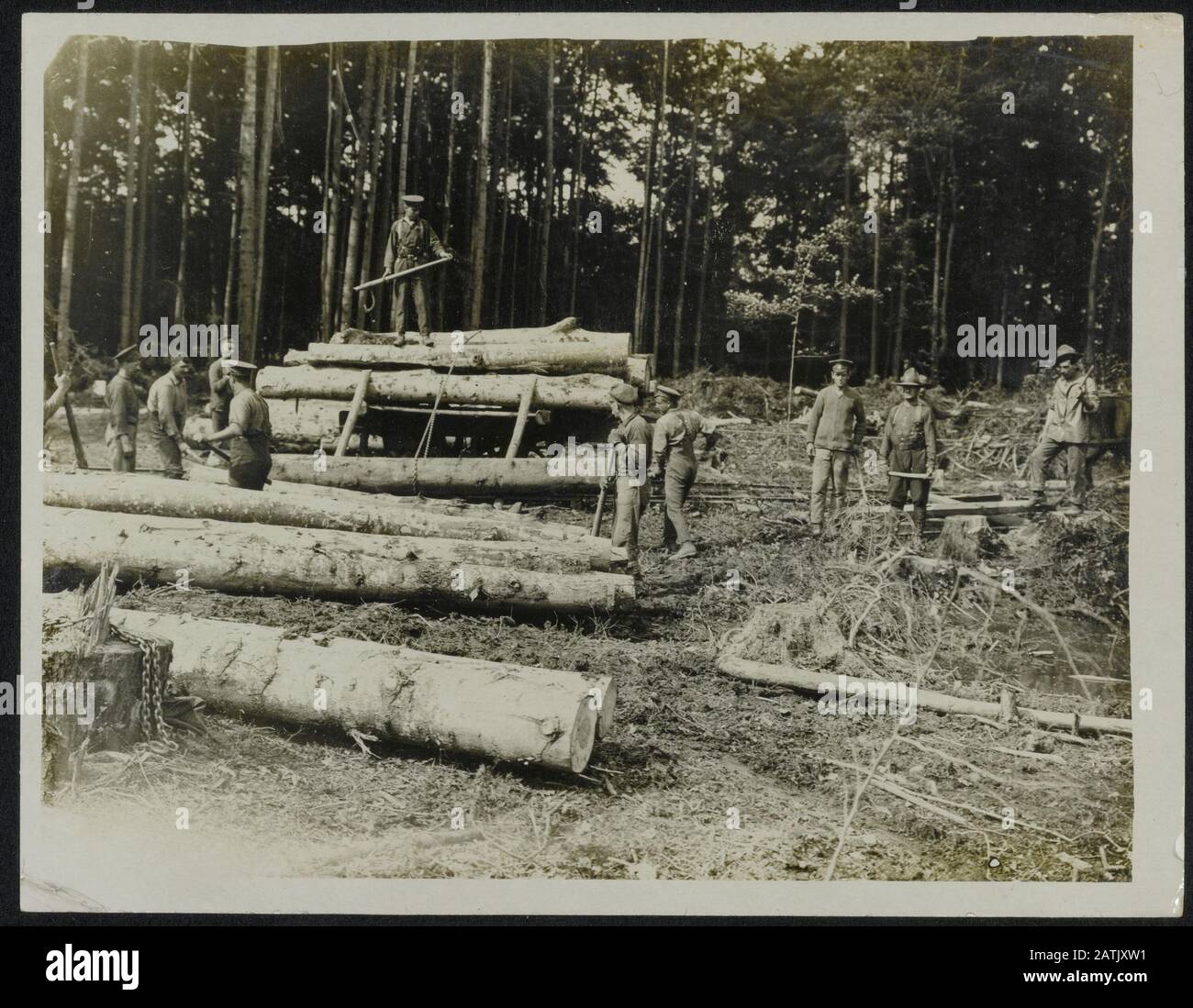 The Western Front Description: Canadian forestry loading timber ...