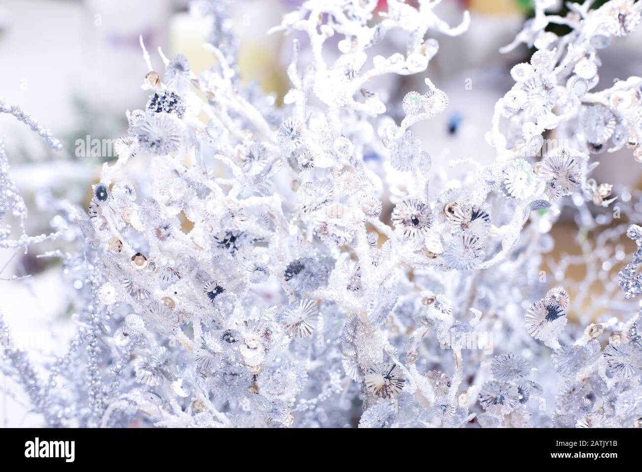 Abstract defocus snowy fabulous coral plant floral decoration. Shiny ...