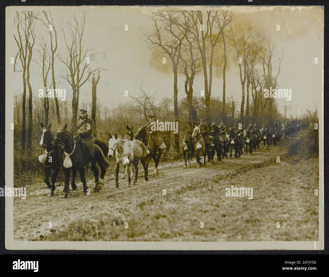 Cavalry unit draws an edge .; 2:24:09; Photo Collection War; ; forests ...