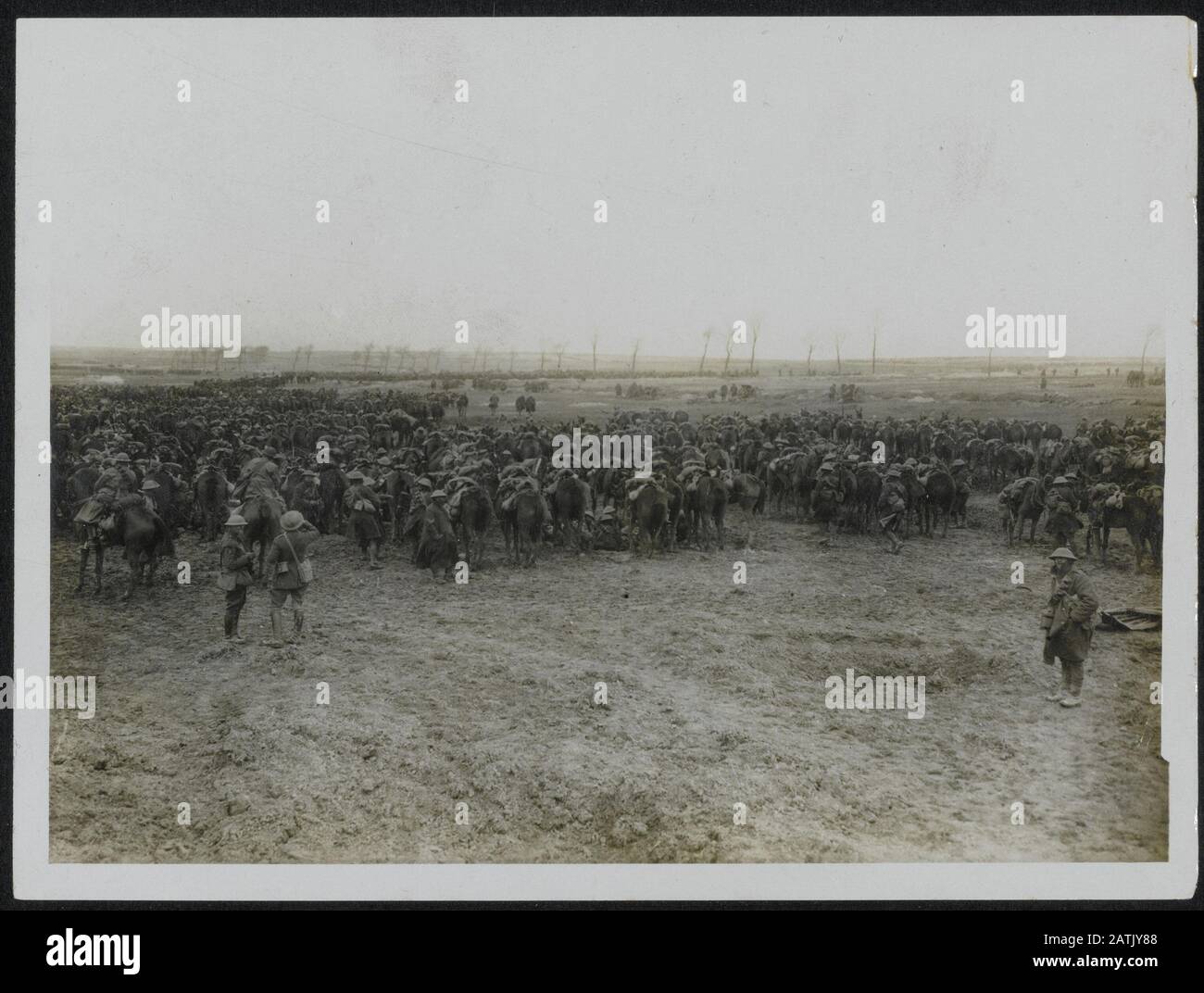 The British Western Front Description: Cavalry Annotation: British ...