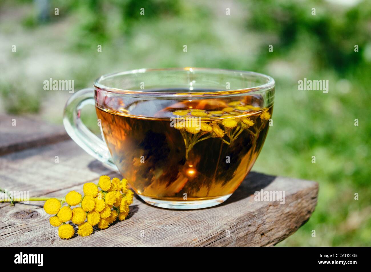 Herbal tea or tansy tincture in a mug and yellow tansy flowers on the ...
