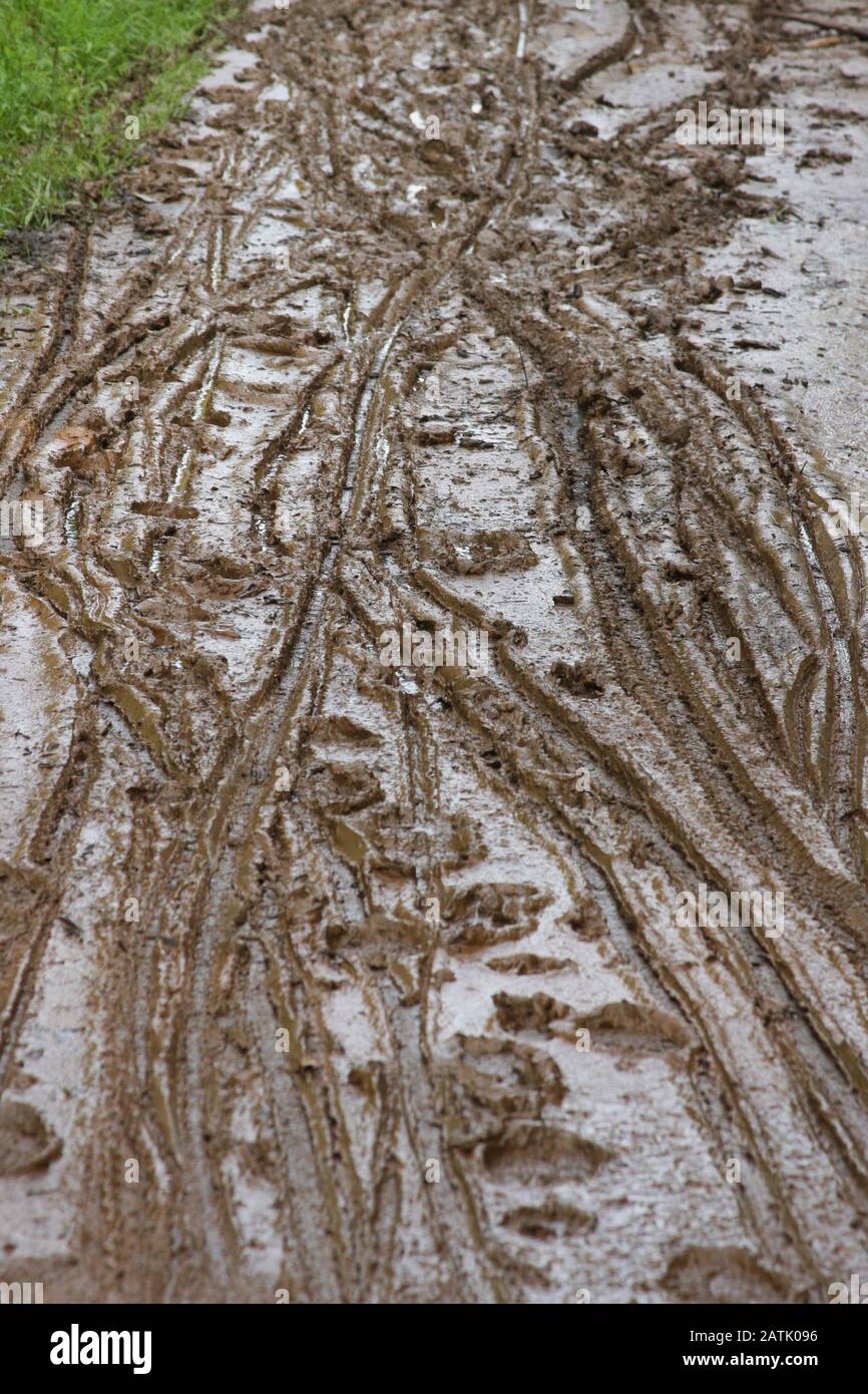 Footprints and bicycle tracks in the mud Stock Photo - Alamy