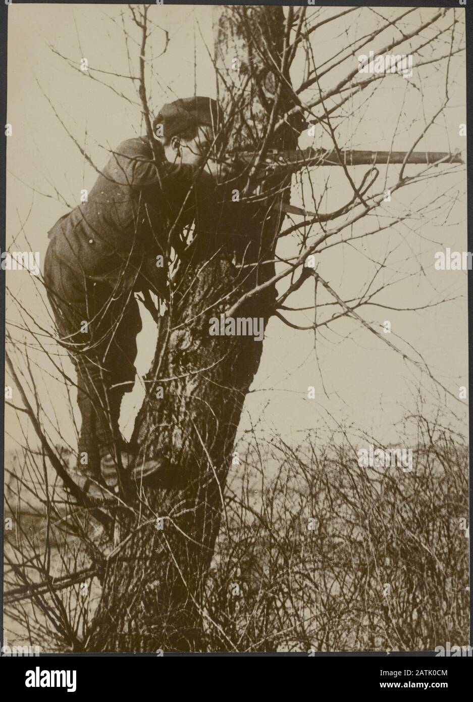 Description: German soldier points a rifle from a tree Date: {1914-1918 ...