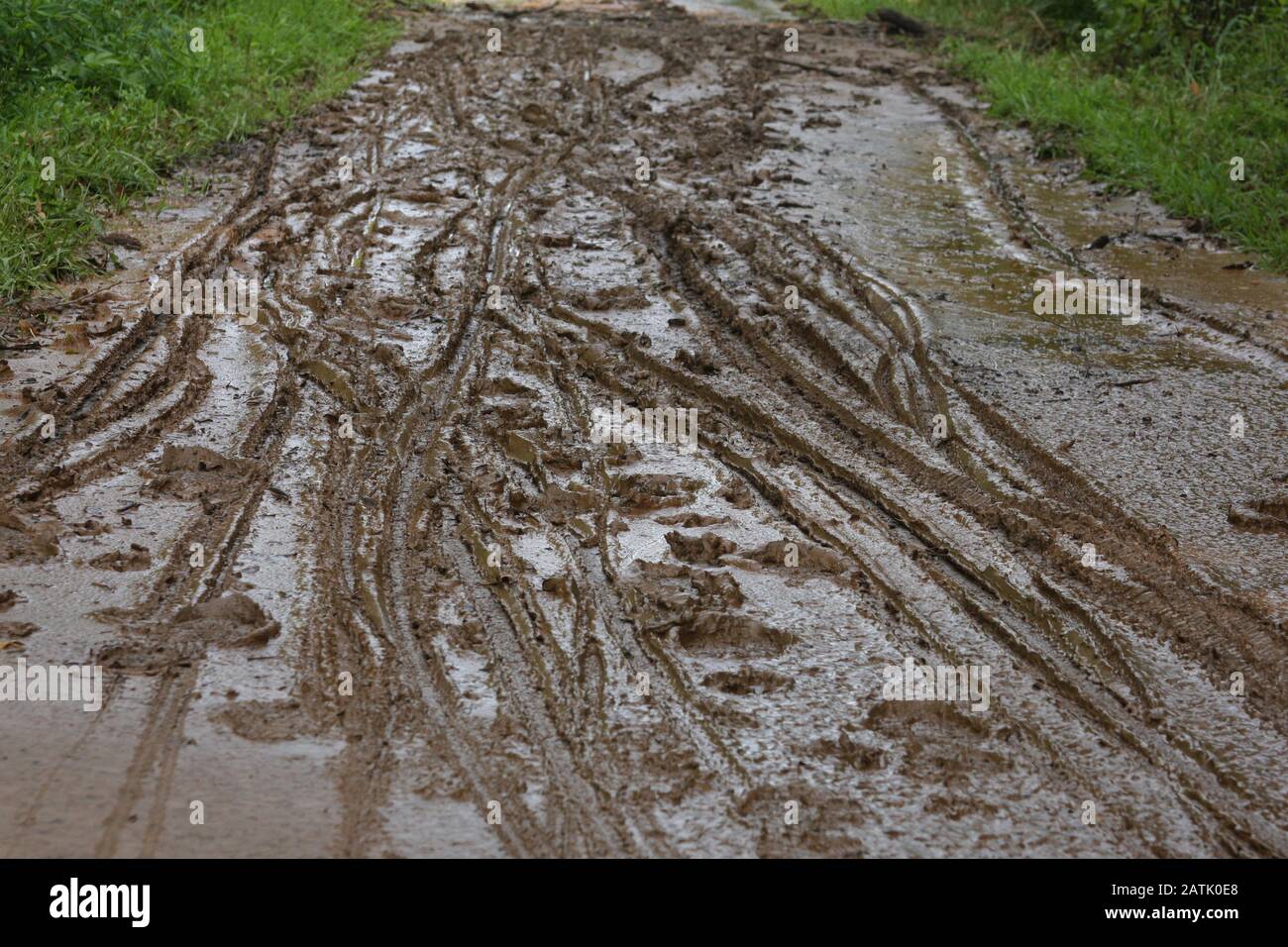 Footprints and bicycle tracks in the mud Stock Photo - Alamy