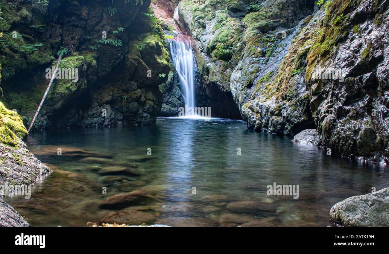 Waterfall Fossili Trail Sproat Lake Vancouver Island Canada Stock Photo ...