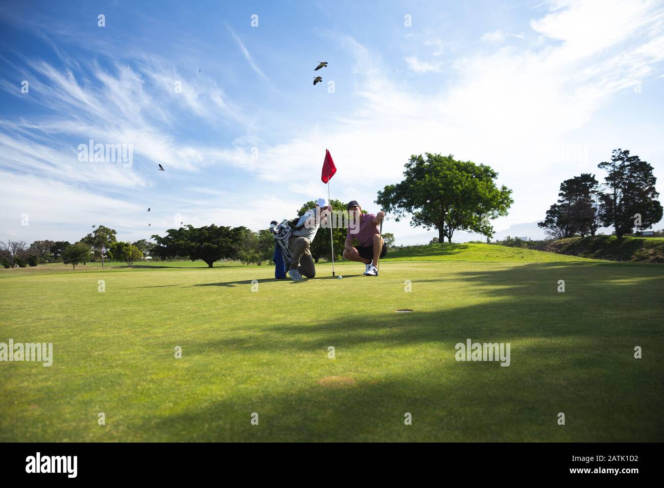 Golfers playing golf Stock Photo - Alamy