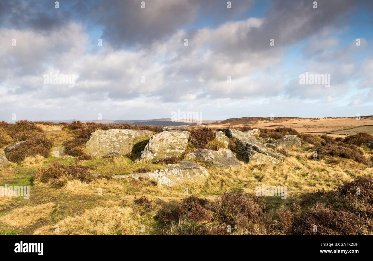 Windswept scene features hi-res stock photography and images - Alamy