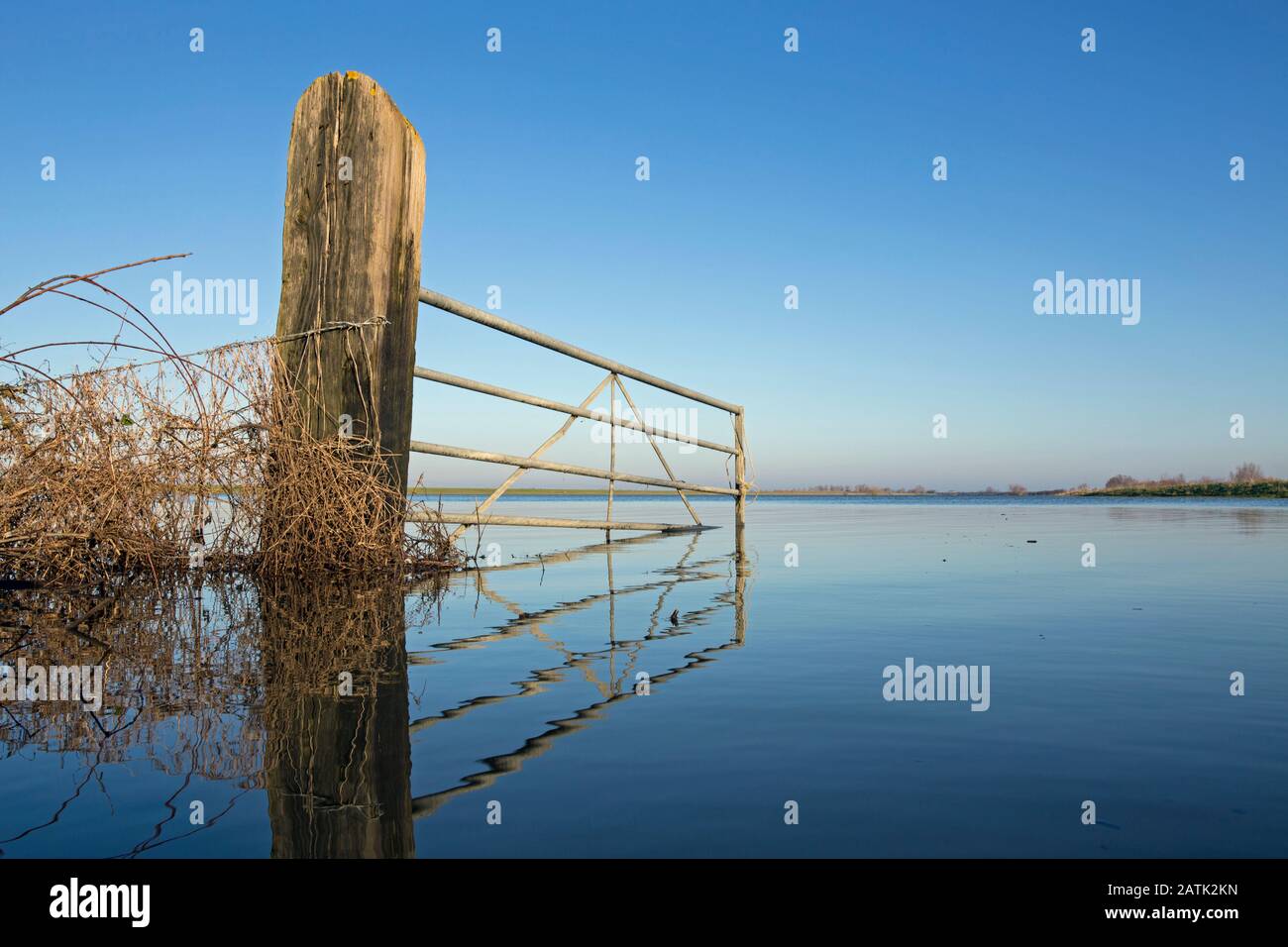 Sutton gault hi-res stock photography and images - Alamy