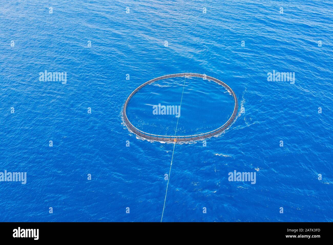 Transportation of fish in cage to farm and port market Stock Photo - Alamy