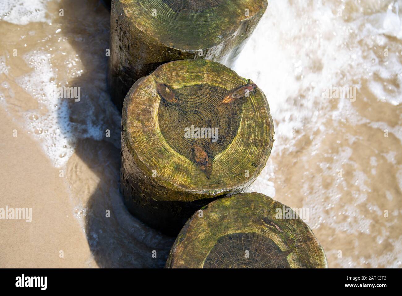 Top view of groynes on the Baltic Sea with algae on a sunny day Stock ...