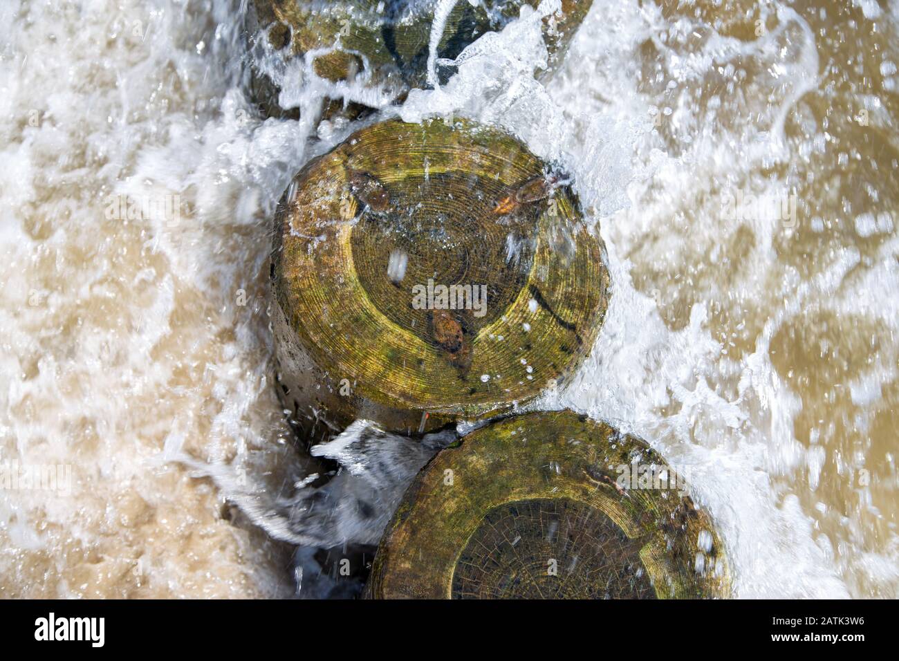 Top view of groynes on the Baltic Sea with algae on a sunny day Stock ...