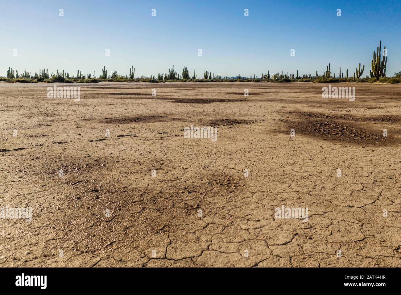 Aerial view of cracked and arid soil of the San Nicolas desert, Sonora ...