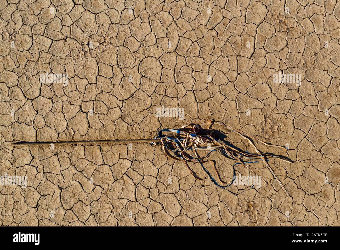 Seri tribe hi-res stock photography and images - Alamy