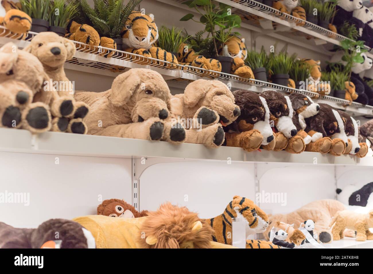 Wide collection of stuffed animal soft toys at American retail store ...