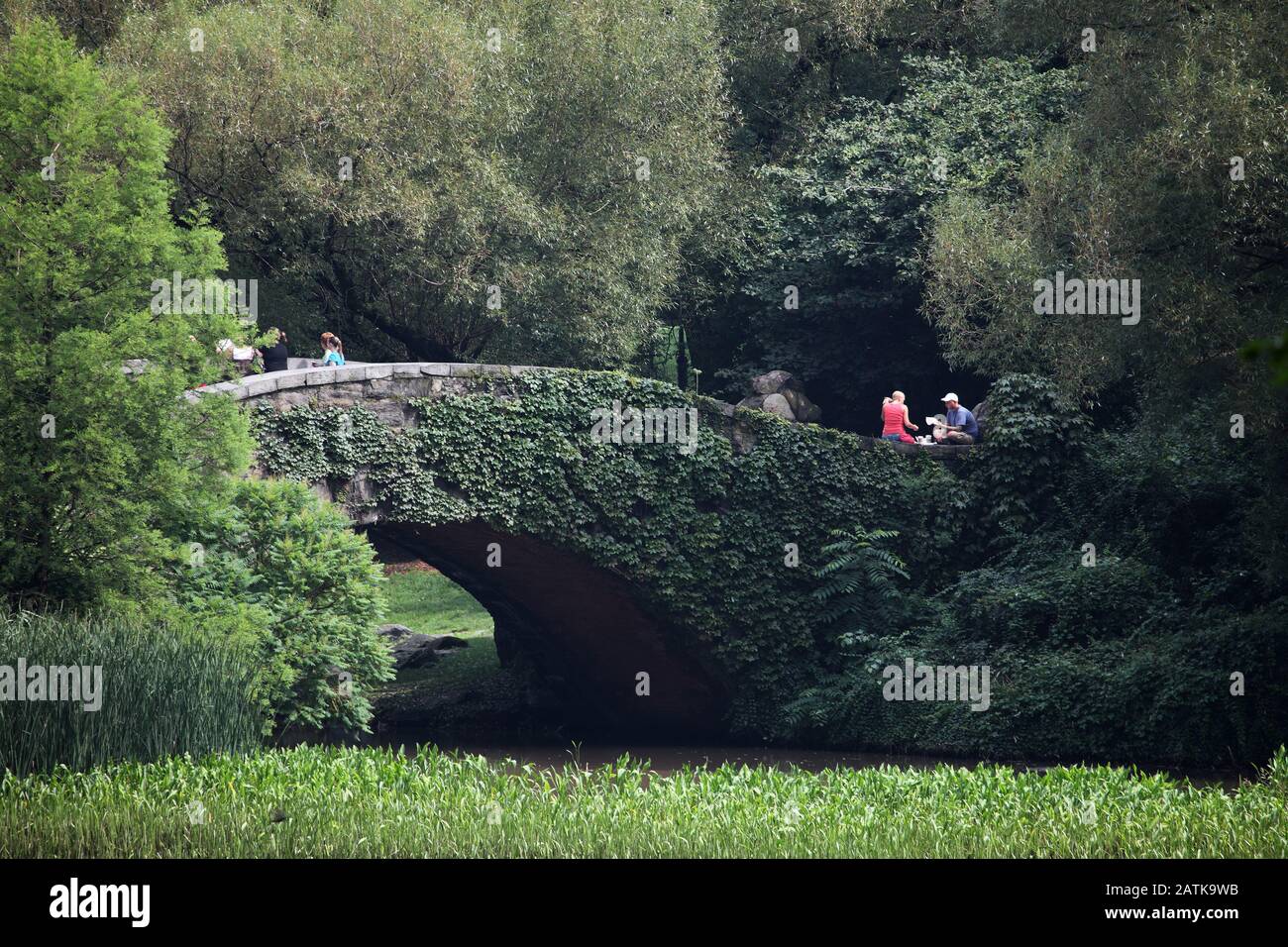 Central park Bridge Stock Photo - Alamy