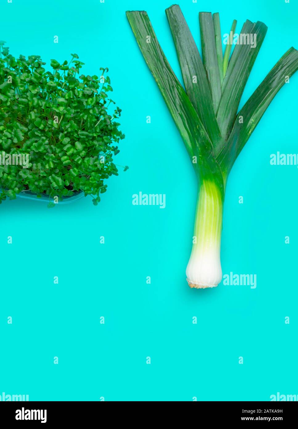 Leek micro greens hi-res stock photography and images - Alamy