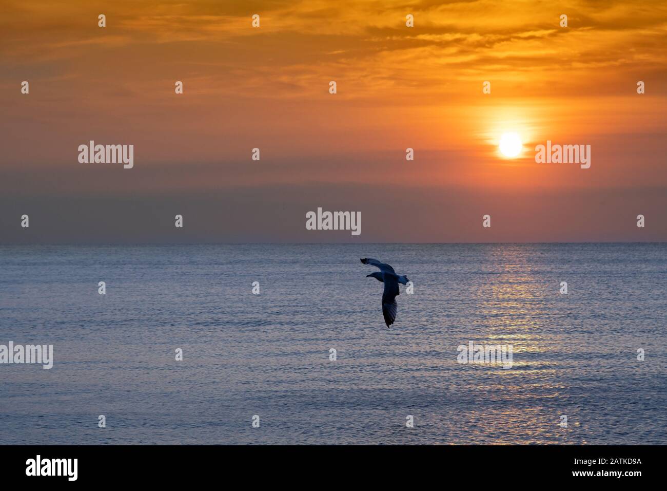 Bright sunset with large yellow sun under the sea surface Stock Photo ...