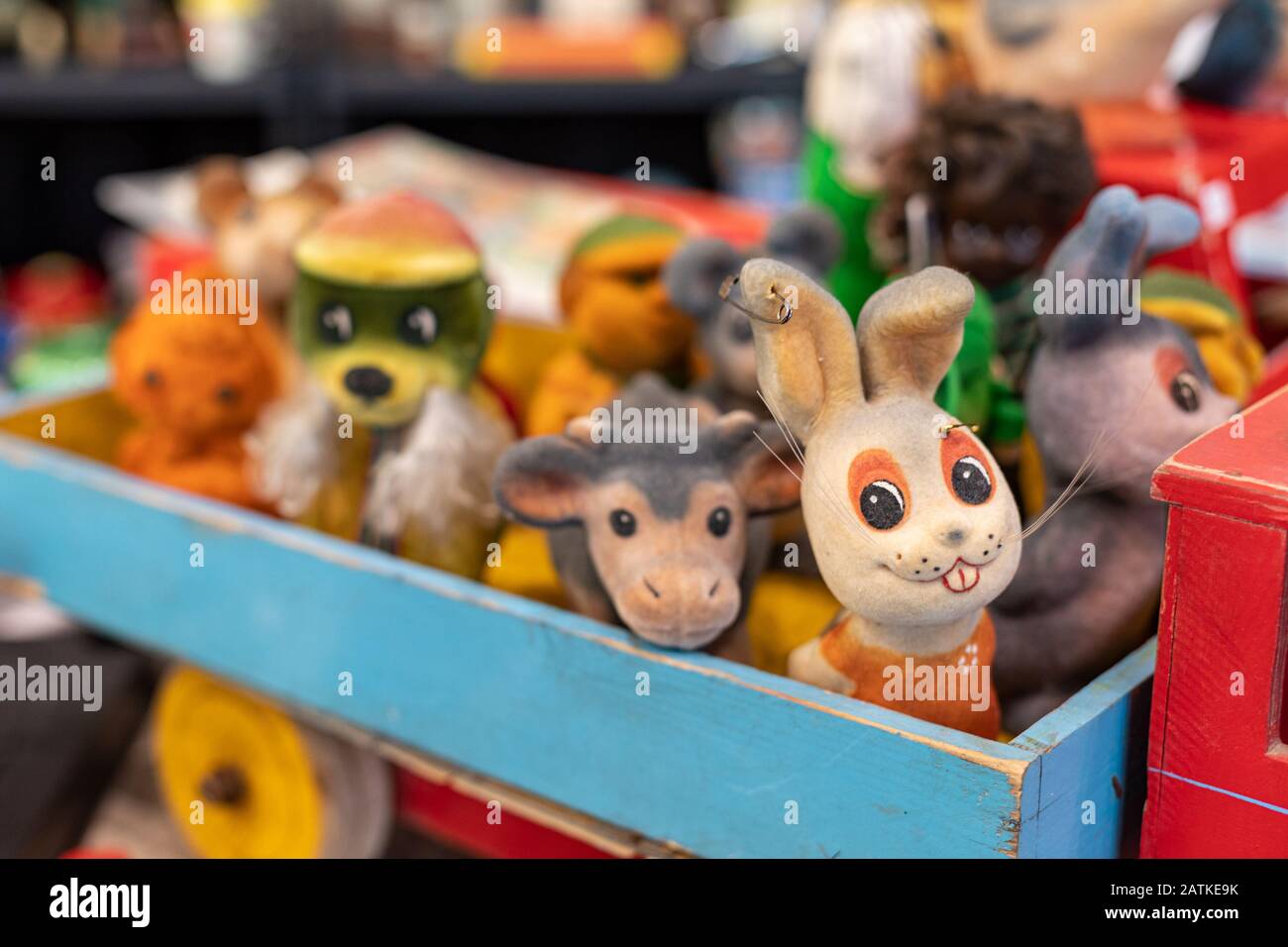 Flocked animals hi-res stock photography and images - Alamy