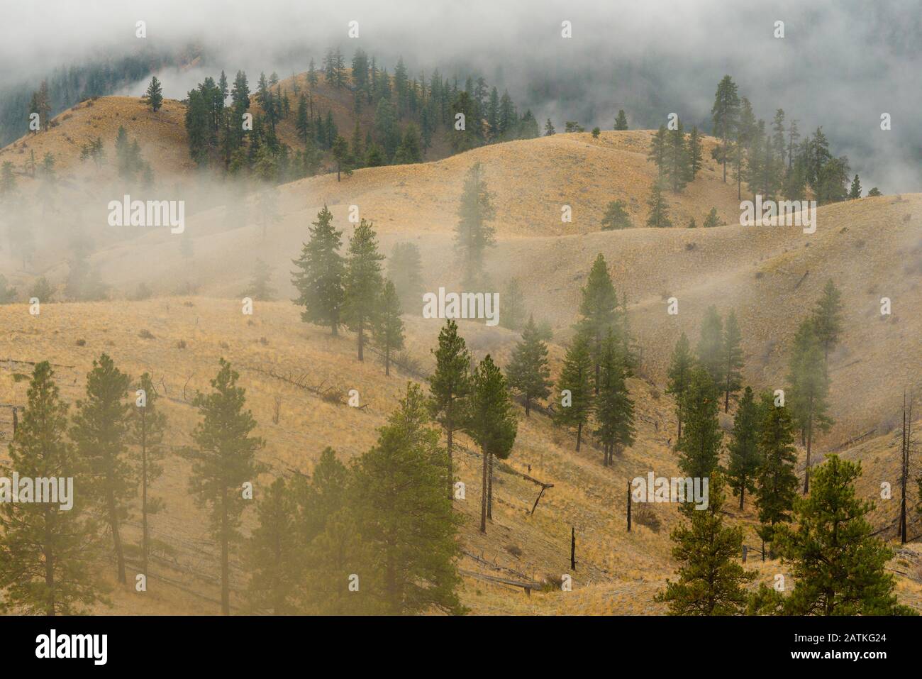 Fog rolling through hi-res stock photography and images - Alamy