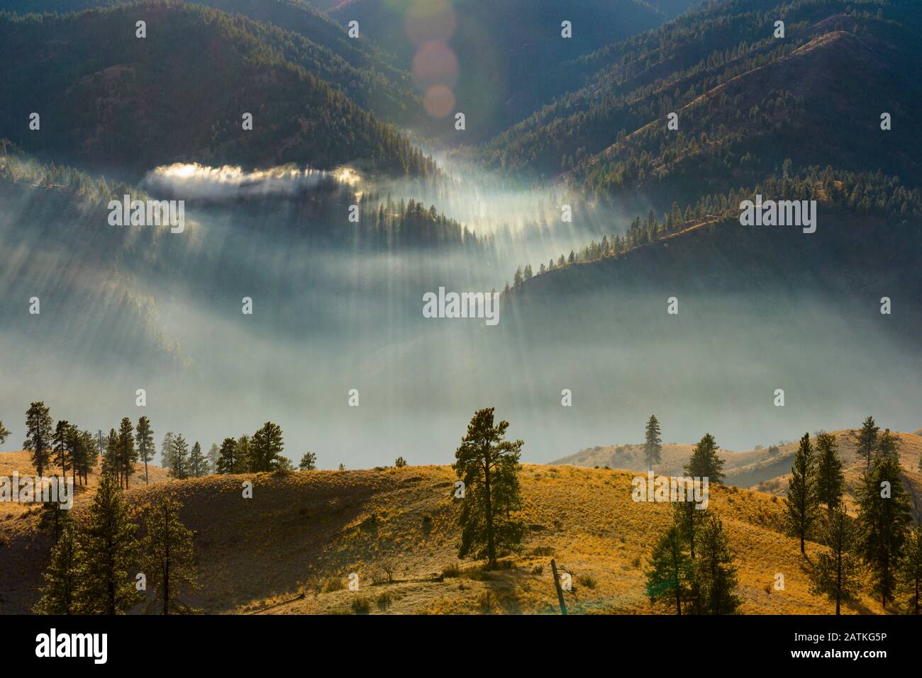 Sun Rays Filtering Through The Trees With Magnificent Light Stock Photo ...