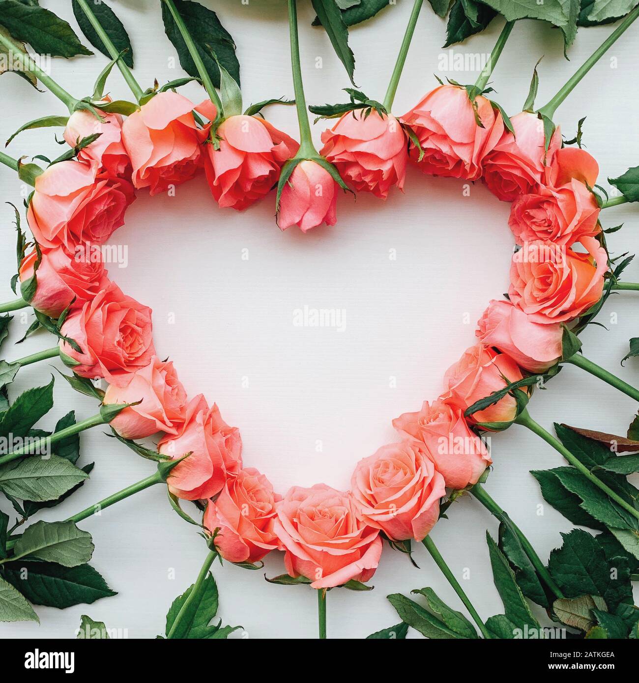 Pink Roses Heart Frame