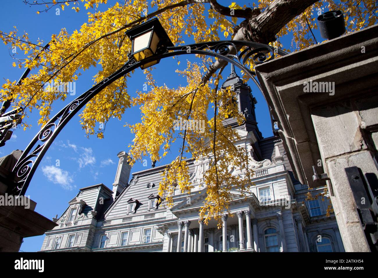 Old building tree hi-res stock photography and images - Alamy