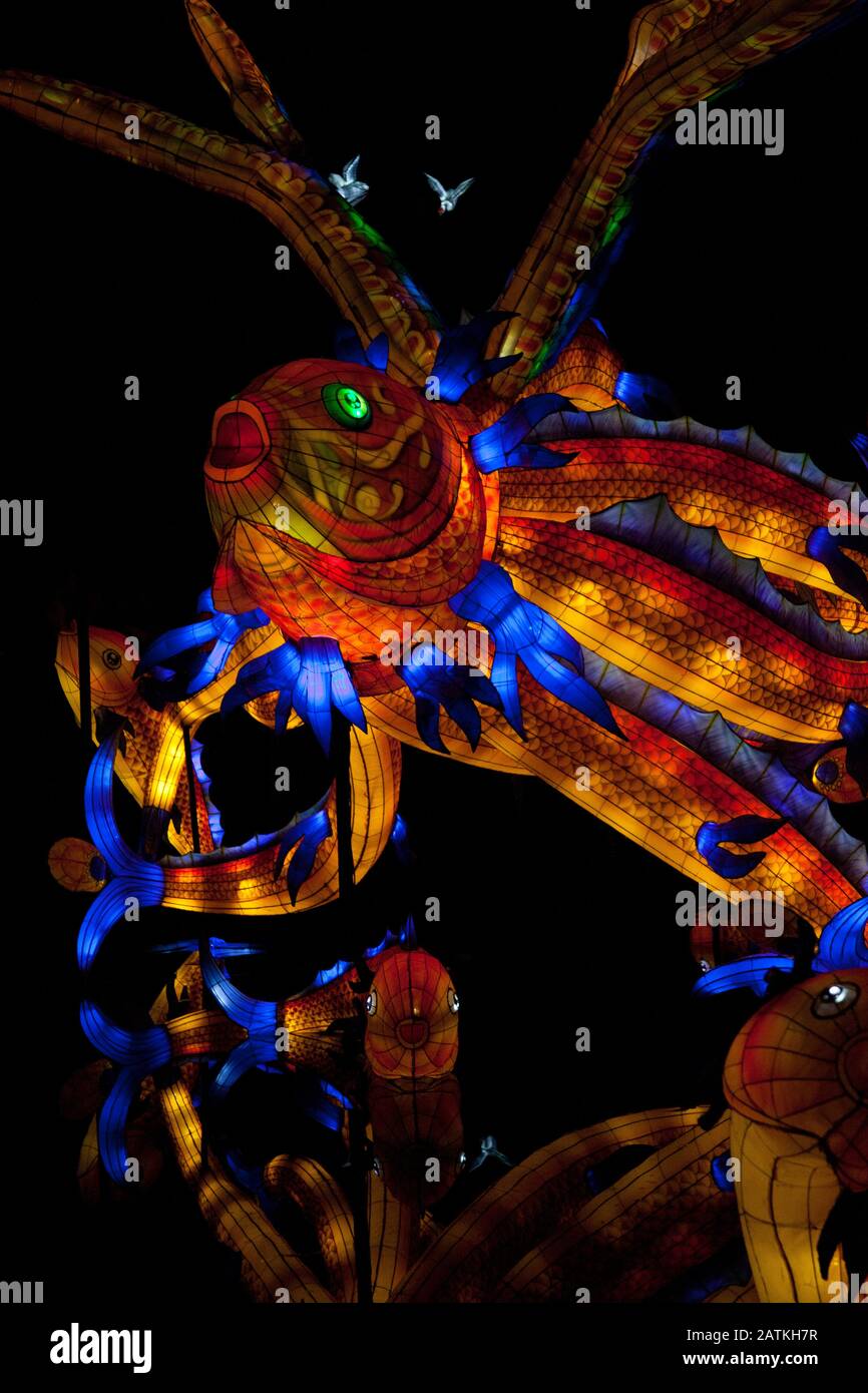 Gardens of Light show - Chinese tale of He Luo Yu, mythical fish Stock ...