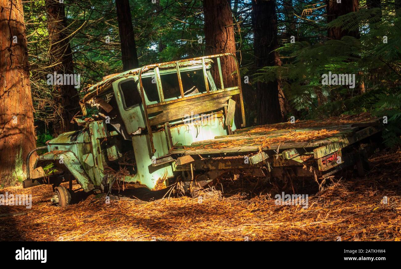 One very old truck left in a forest Stock Photo - Alamy