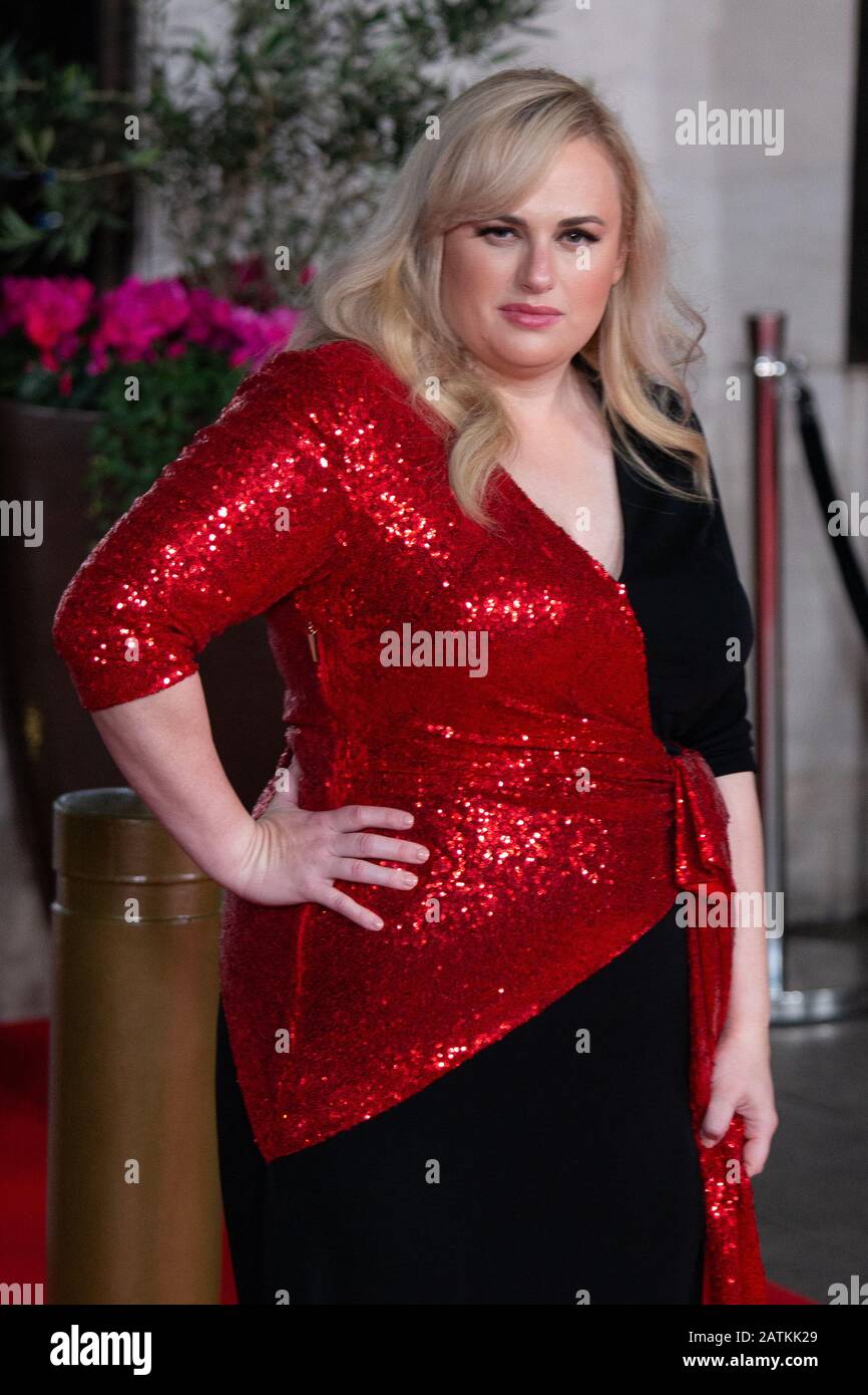 Robin wilson hi-res stock photography and images - Alamy