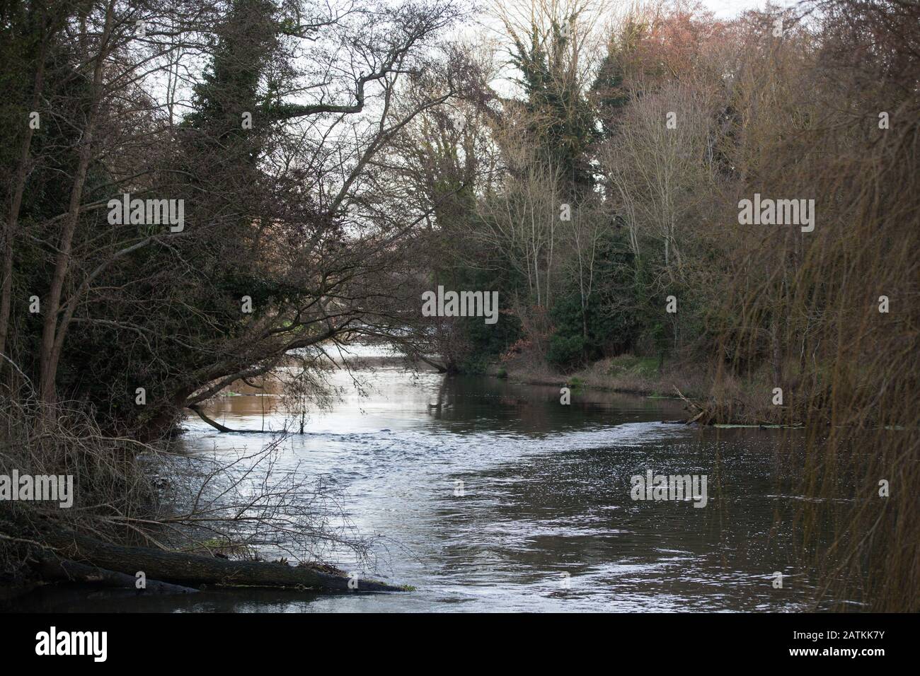 Denham, UK. 3 February, 2020. A section of the river Colne across which ...