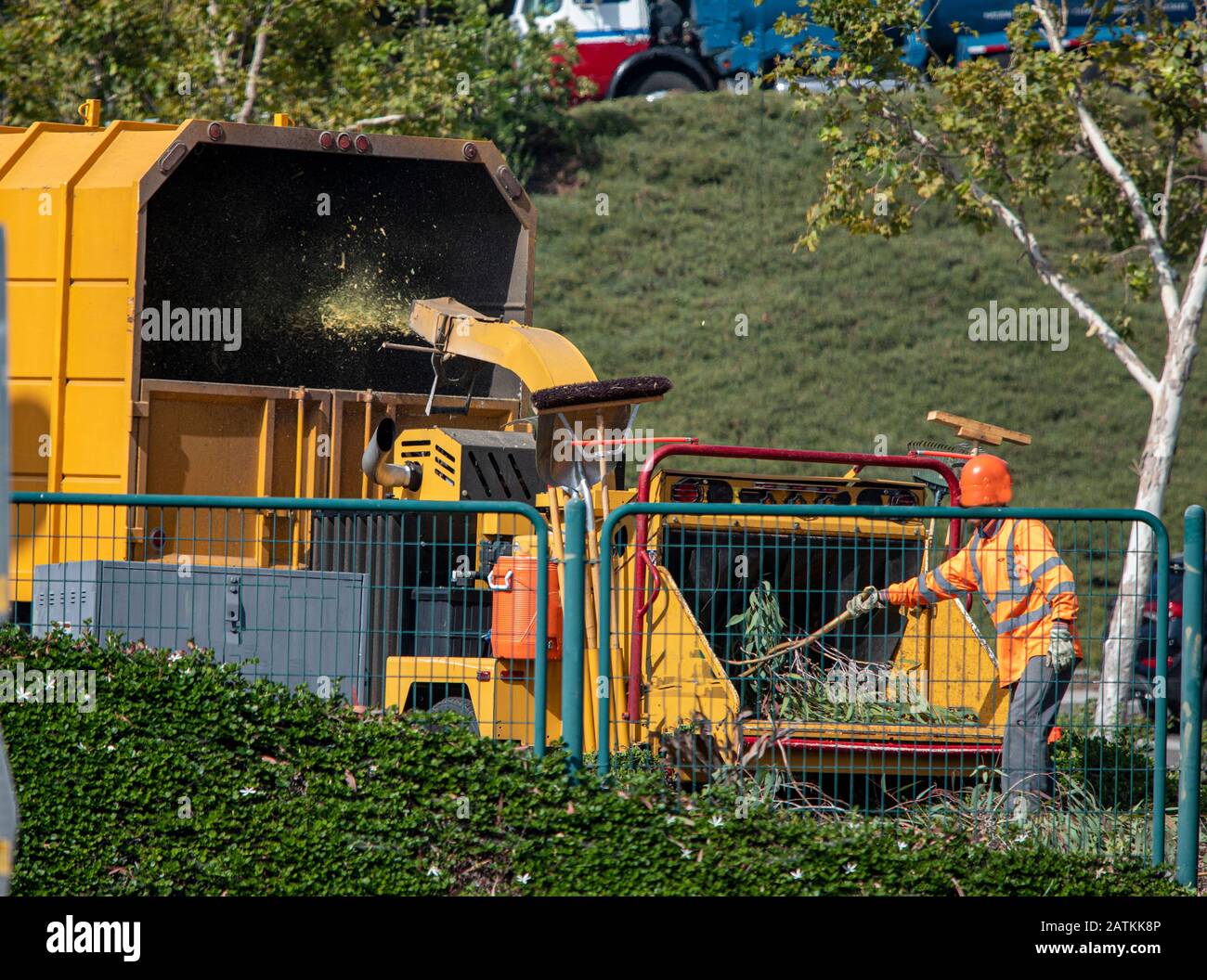 Man in orange safety vest and orange hard hat operating tree chipper ...