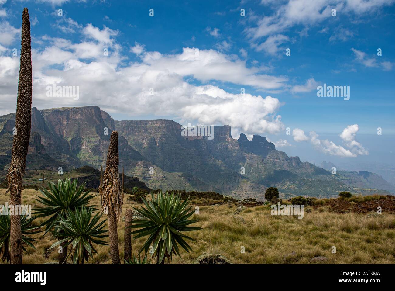 Ethiopian mountains hi-res stock photography and images - Alamy