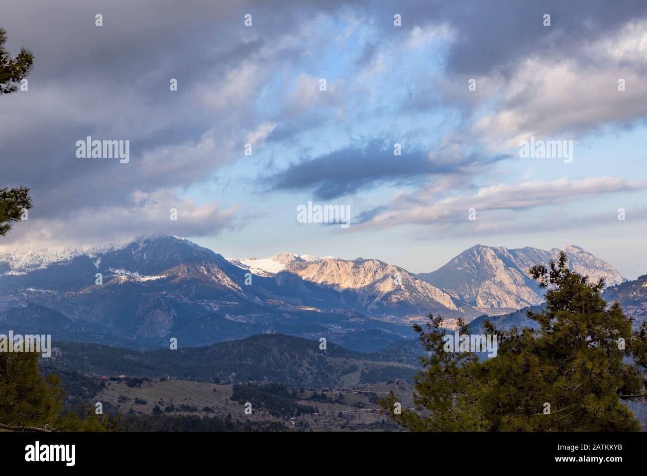 Circle in sky behind trees hi-res stock photography and images - Alamy