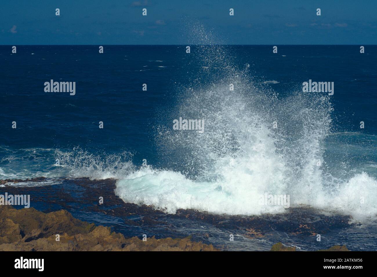Cabras puerto rico hi-res stock photography and images - Alamy