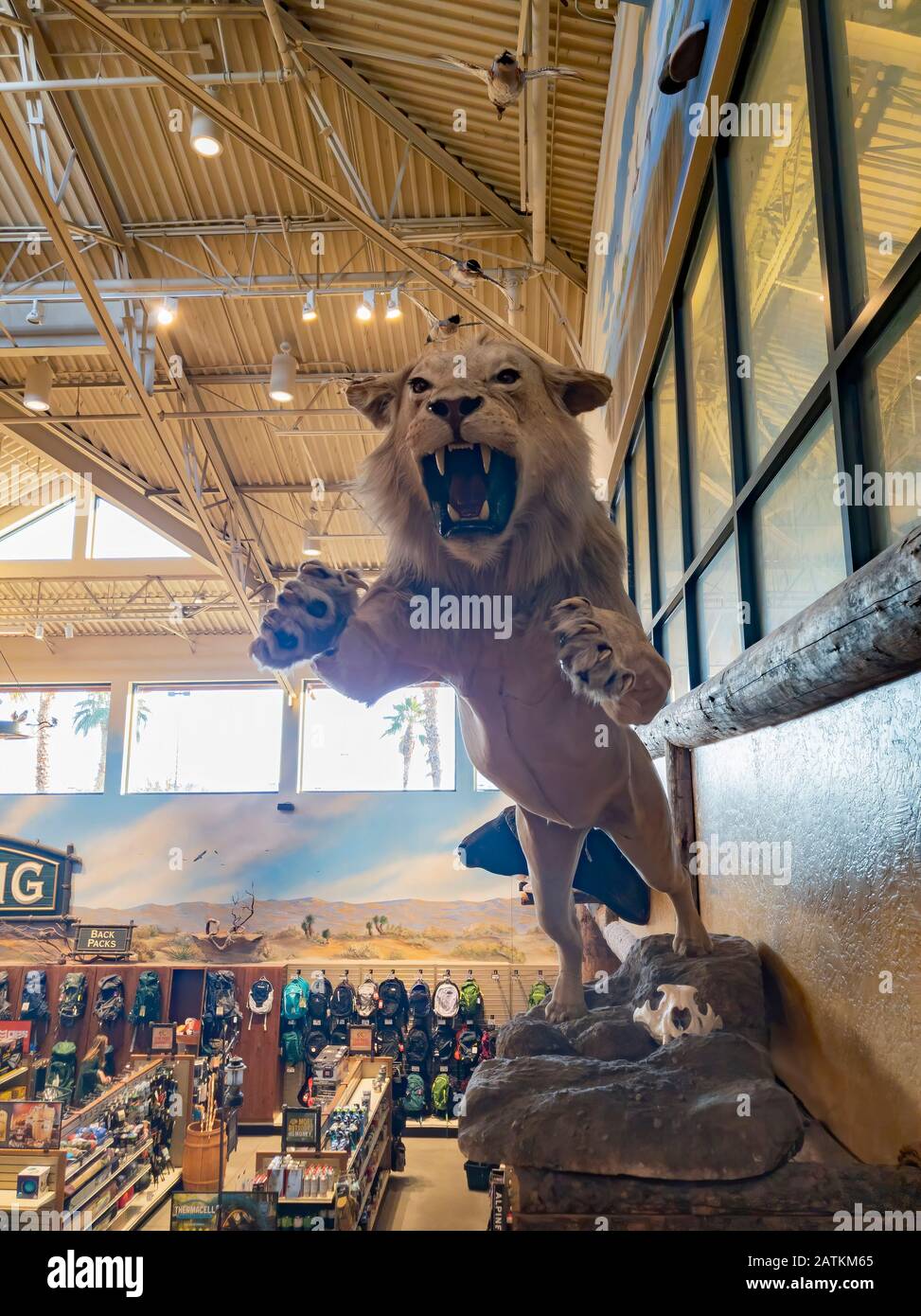 Bass pro shops interior hi-res stock photography and images - Alamy